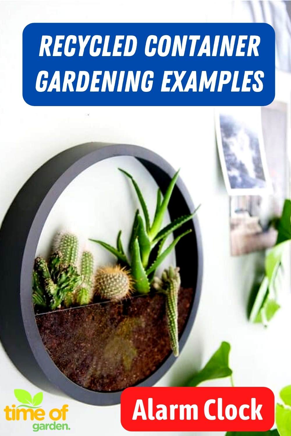 Recycled Container Gardening Examples - Time Of Garden