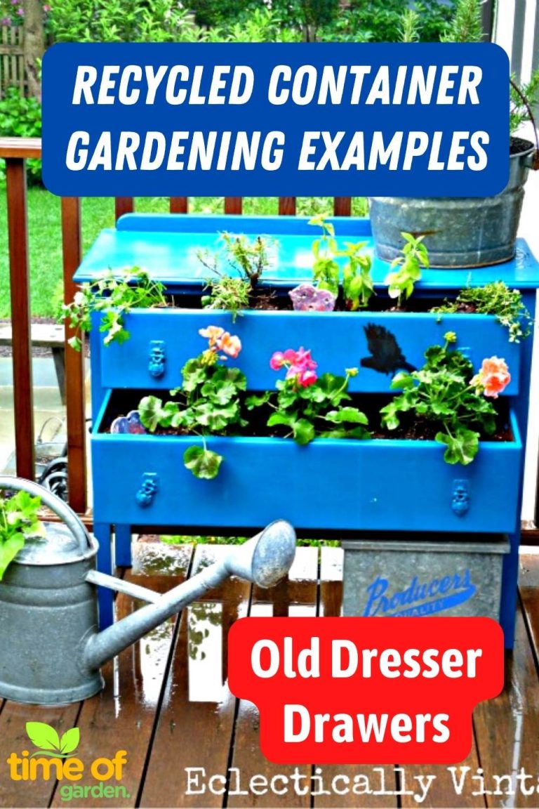Recycled Container Gardening Examples - Time Of Garden