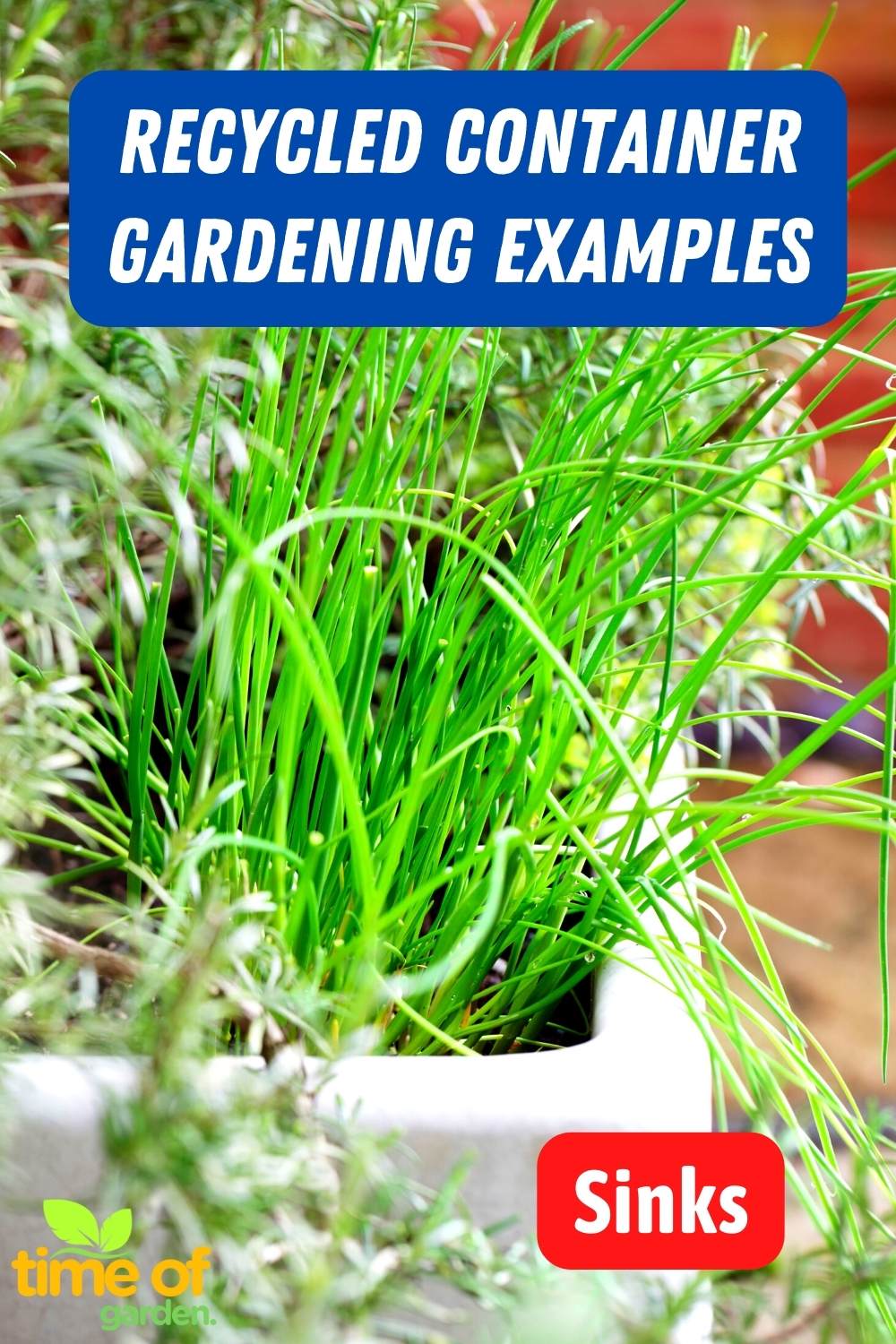 Recycled Container Gardening Examples - Time Of Garden