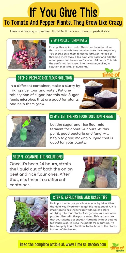 Homemade Liquid Fertilizer from Onion Peel and Rice Flour: Boosting ...