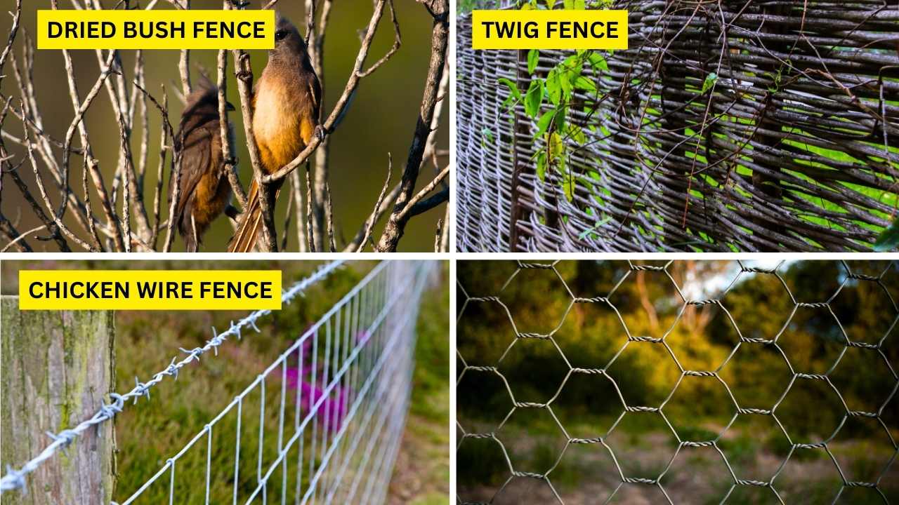 DIY Vegetable Garden Fence Ideas - Time Of Garden