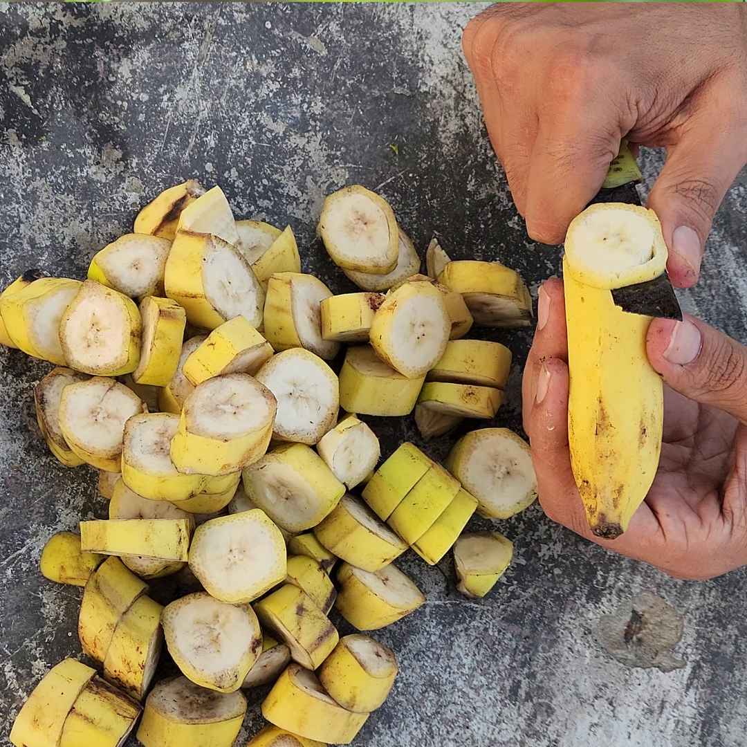 Creating Your Own Liquid Fertilizer With Bananas And Brown Sugar - Time ...